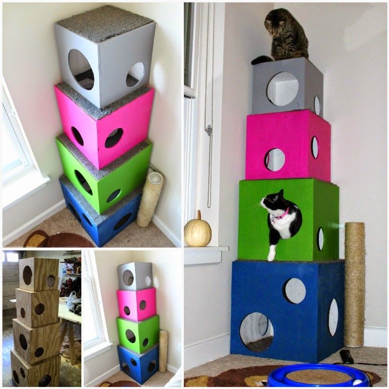 How To Make A DIY Cat Tree Pictures Photos And Images For Facebook 