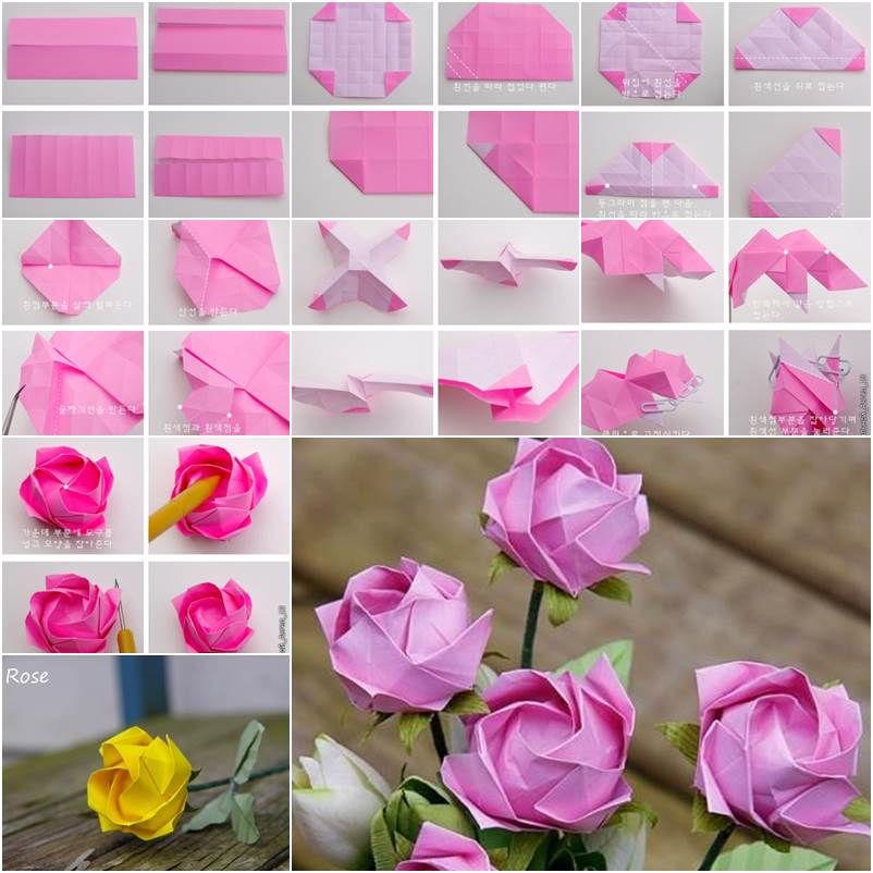 Create An Origami Rose Pictures Photos And Images For Facebook 