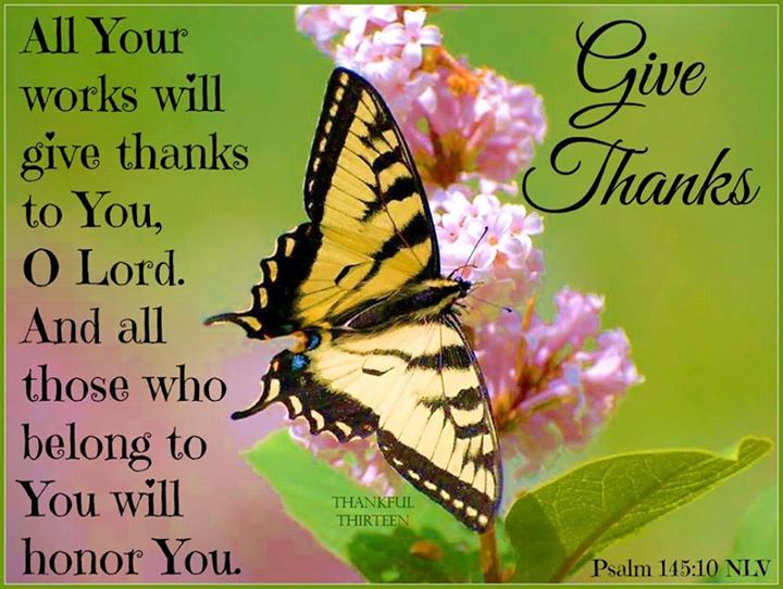 Give Thanks To The Lord Pictures, Photos, and Images for Facebook ...