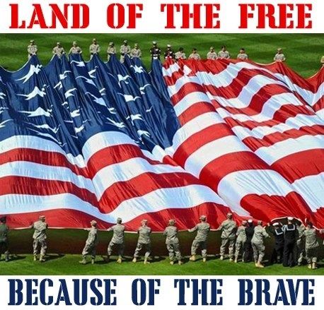 Land Of The Free Because Of The Brave Pictures, Photos, and Images for ...