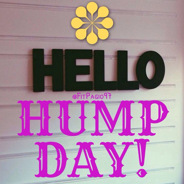 Hello Hump Day Pictures, Photos, and Images for Facebook, Tumblr, Pinterest, and Twitter