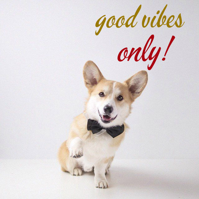 Good Vibes Only Pictures, Photos, and Images for Facebook, Tumblr ...