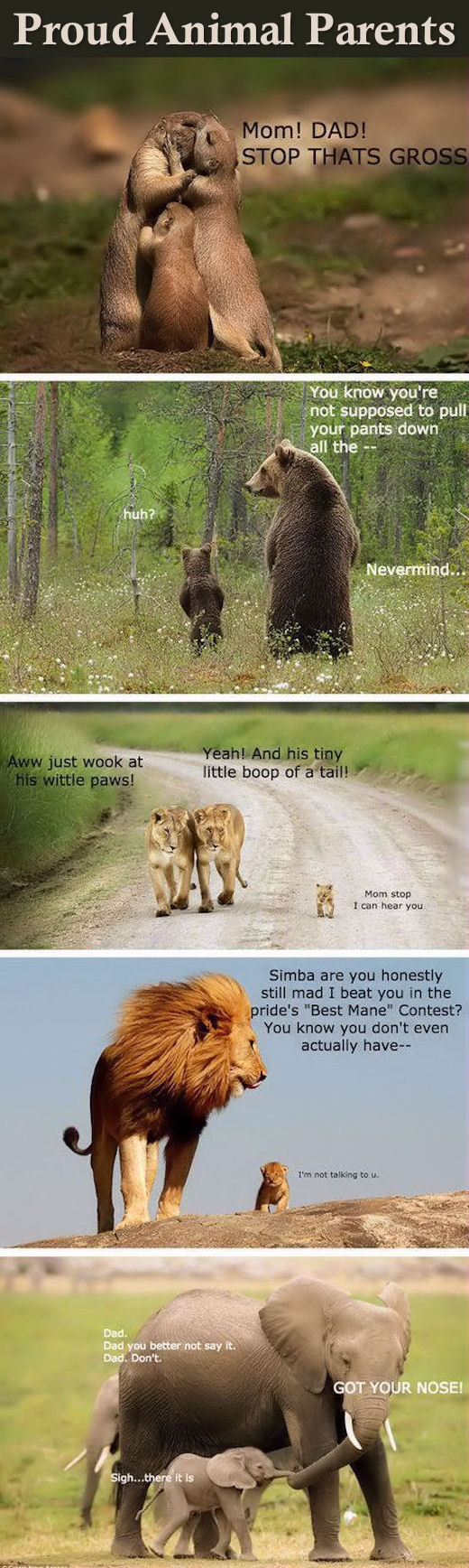 Proud Animal Parents Pictures, Photos, and Images for Facebook, Tumblr ...