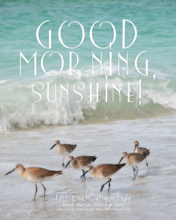 Good Morning Sunshine Pictures, Photos, and Images for Facebook, Tumblr ...