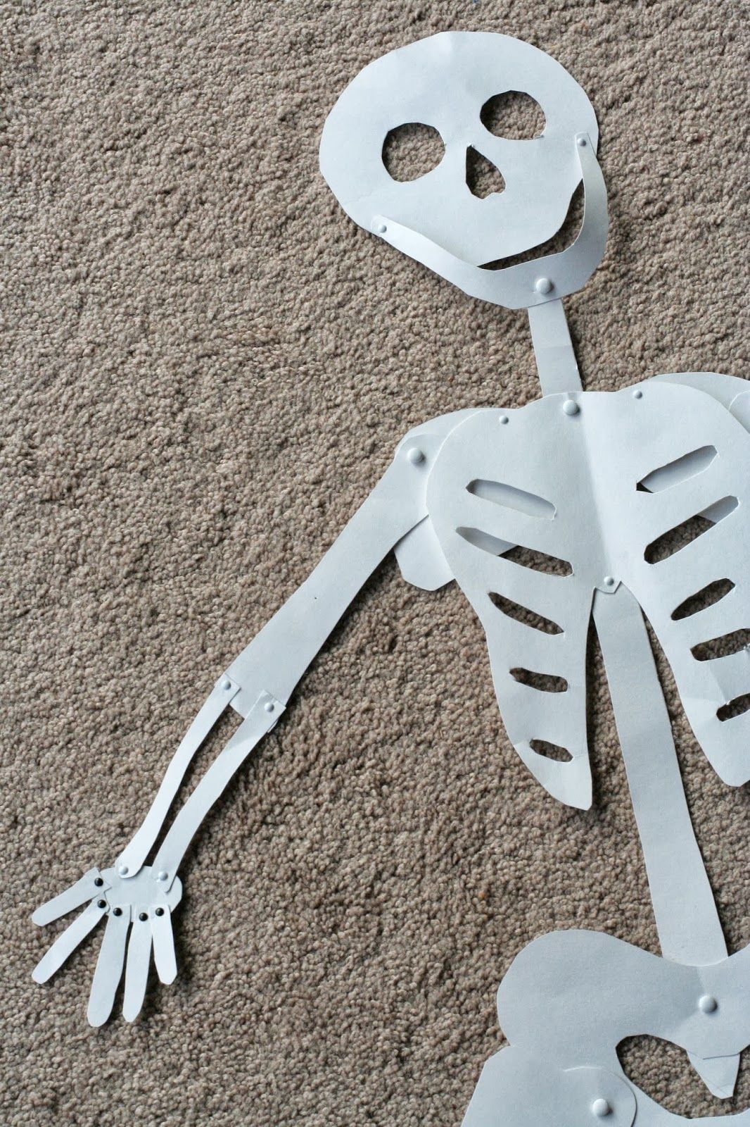 Kid Sized Skeleton Pictures Photos And Images For Facebook Tumblr