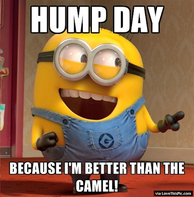 Hump Day Minion Pictures Photos And Images For Facebook Tumblr 