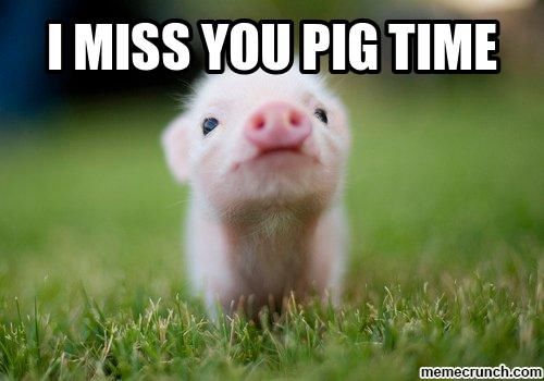 I Miss You Pig Time Pictures, Photos, and Images for Facebook, Tumblr ...
