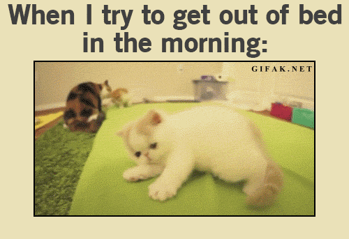 When I Try To Get Out Of Bed In The Morning Pictures Photos And when-i-try-to-get-out-of-bed-in-the-morning-pictures-photos-and