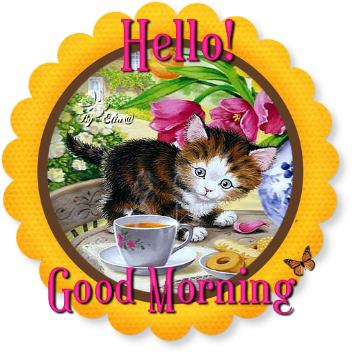 Hello Good Morning Pictures, Photos, and Images for Facebook, Tumblr ...