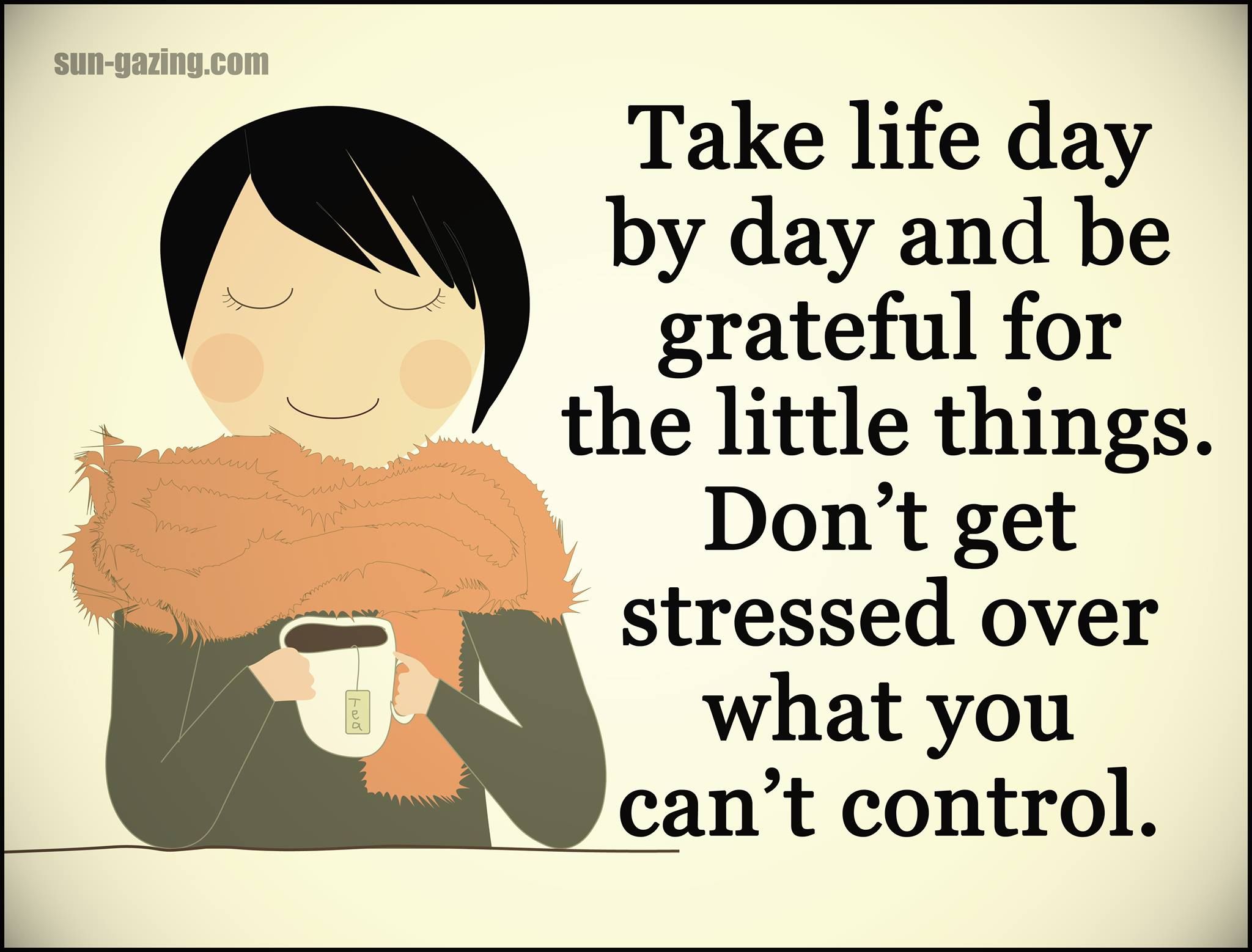 Take Life Day By Day And Be Grateful For The Little Things Pictures
