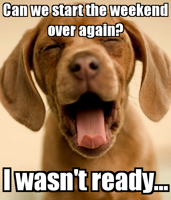 Can We Start The Weekend Over Again? I Wasn't Ready Pictures, Photos ...