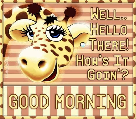 Well Hello There! How's It Going? Good Morning! Pictures, Photos, and ...