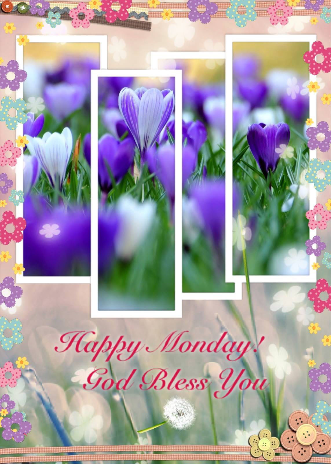 Happy Monday, God Bless You Pictures, Photos, and Images for Facebook, Tumblr, Pinterest, and ...