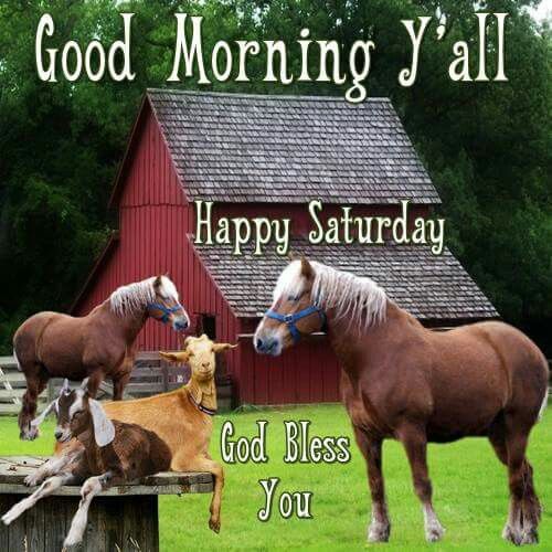 Good Morning Cowboy Quotes