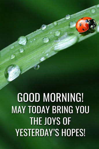 Good Morning, May Today Bring You The Joys Of Yesterday's Hopes ...