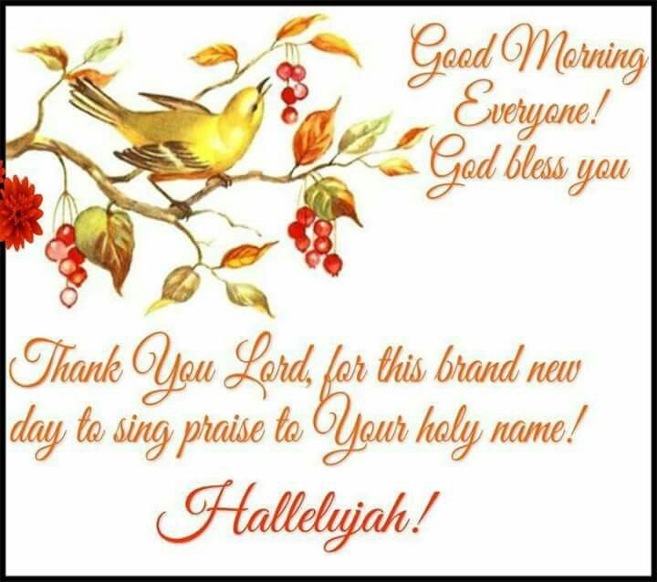 Good Morning Everyone! God Bless You Pictures, Photos, and Images for Facebook, Tumblr ...