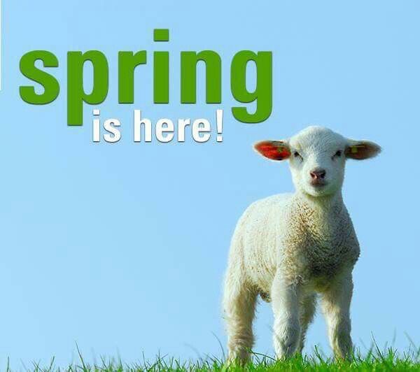 Spring Is Here! Pictures, Photos, and Images for Facebook, Tumblr ...