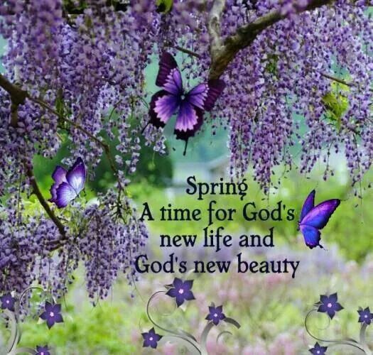 Spring, A Time For God's New Life And God's New Beauty Pictures, Photos ...