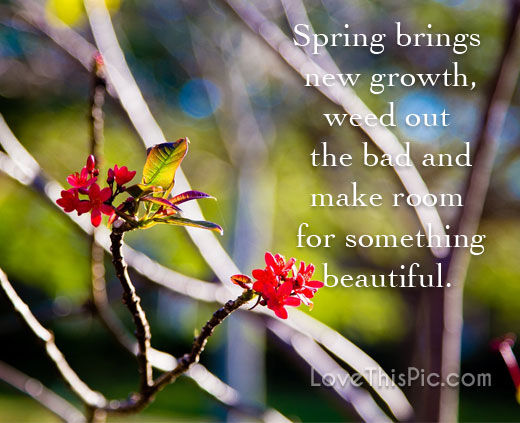 Spring Brings Pictures, Photos, and Images for Facebook, Tumblr ...