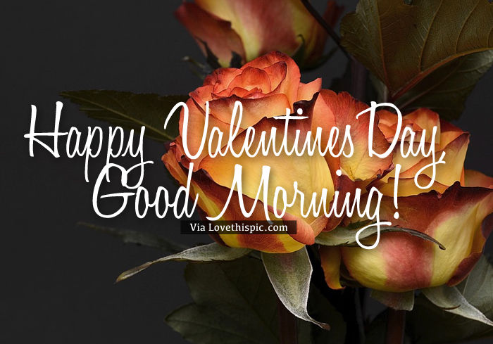 Roses For Valentine's Day, Good Morning! Pictures, Photos, and Images ...