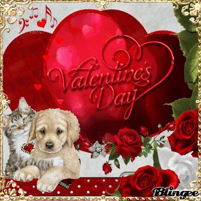 Dog & Cat Hugging Valentines Day Picture Pictures, Photos, and Images ...