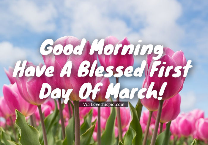 Tulip Bulb First Day Of March, Good Morning Pictures, Photos, and ...