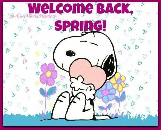 Welcome Back Spring Pictures, Photos, and Images for Facebook, Tumblr ...
