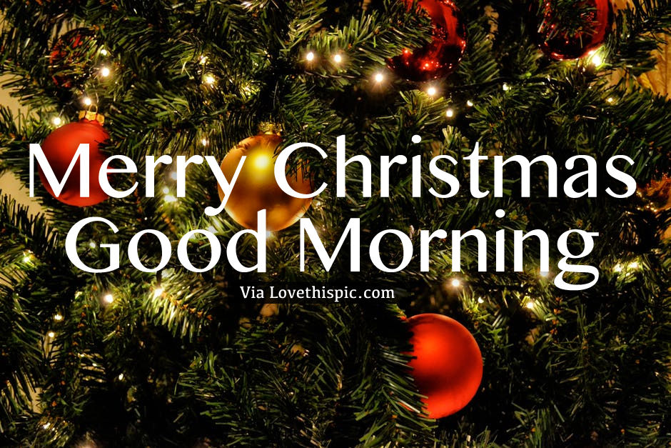 Christmas Balls Merry Christmas Good Morning Image Pictures Photos christmas-balls-merry-christmas-good-morning-image-pictures-photos