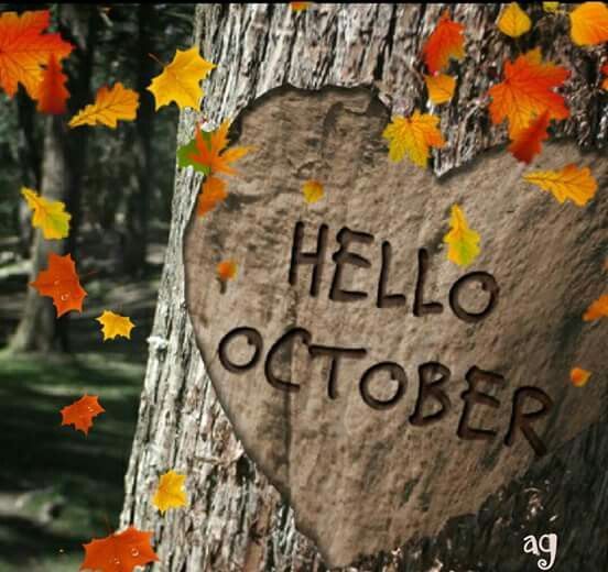 Heart Tree Carving, Hello October Pictures, Photos, and Images for ...