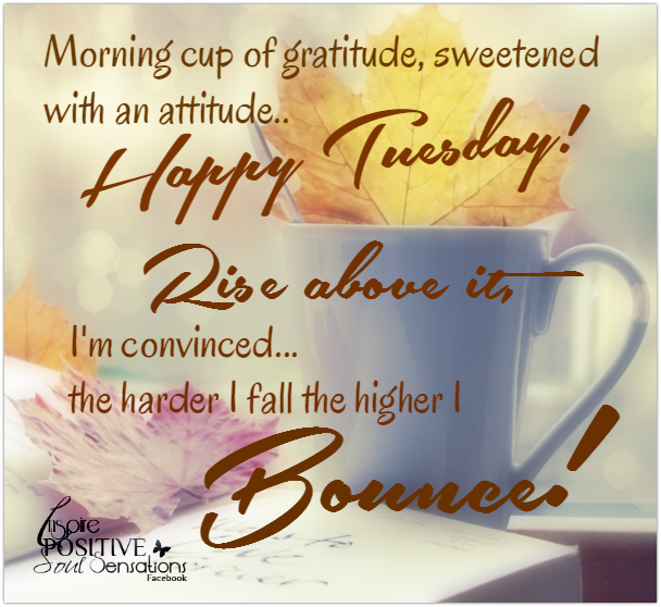 Morning Cup Of Gratitude, Sweetened With An Attitude Pictures, Photos ...