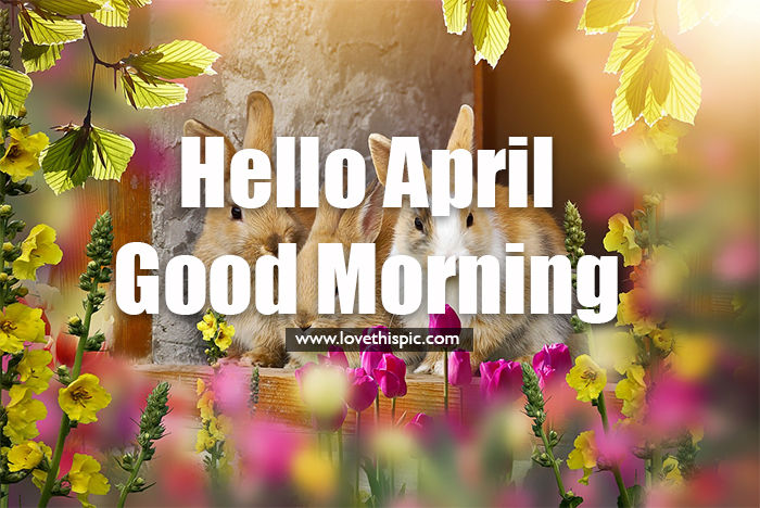Hello April Good Morning Pictures, Photos, and Images for Facebook ...