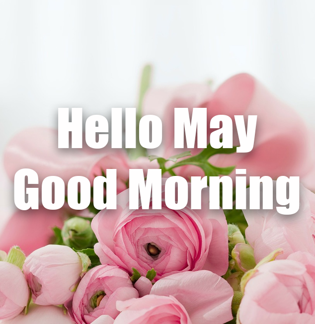 Hello May Good Morning Pictures, Photos, and Images for Facebook ...
