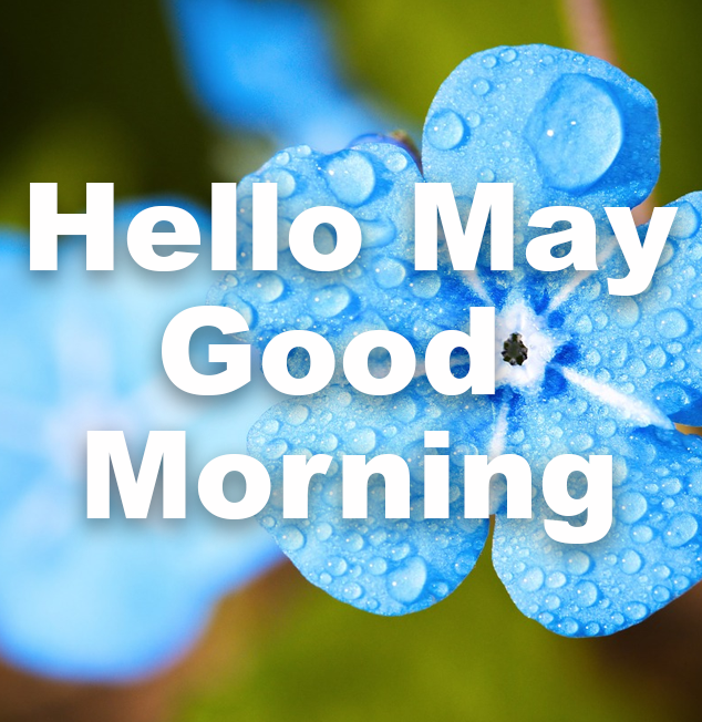 Hello May Good Morning Pictures, Photos, and Images for Facebook ...