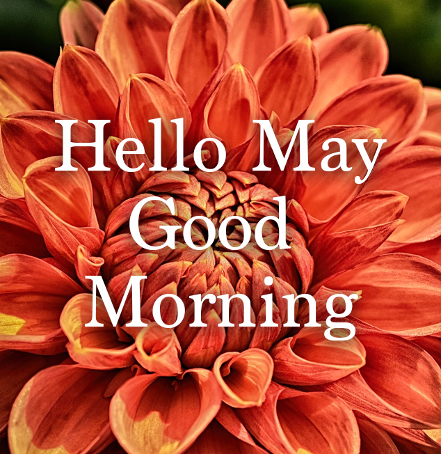 Hello May Good Morning Quote Pictures, Photos, and Images for Facebook ...