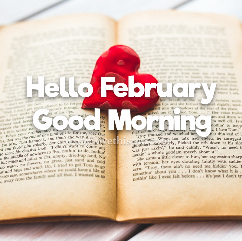 Hello February Good Morning Quote Pictures, Photos, and Images for ...