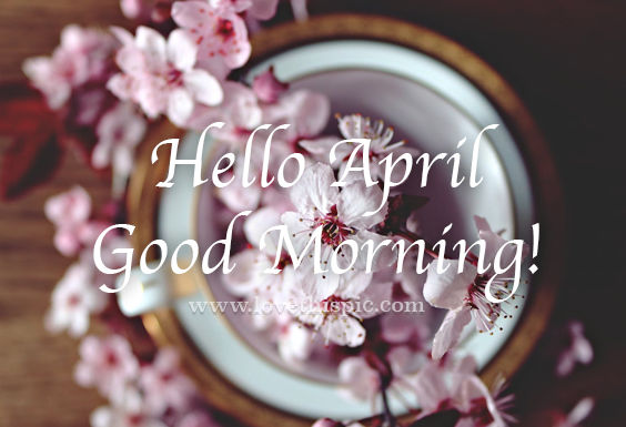 Cute Blossoms - Hello April, Good Morning Pictures, Photos, and Images ...