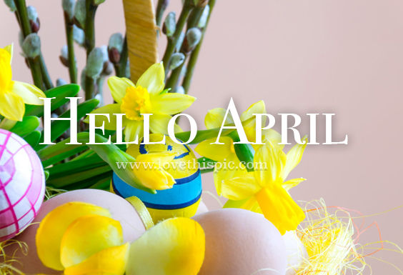 Easter Decor - Hello April Quote Pictures, Photos, and Images for ...