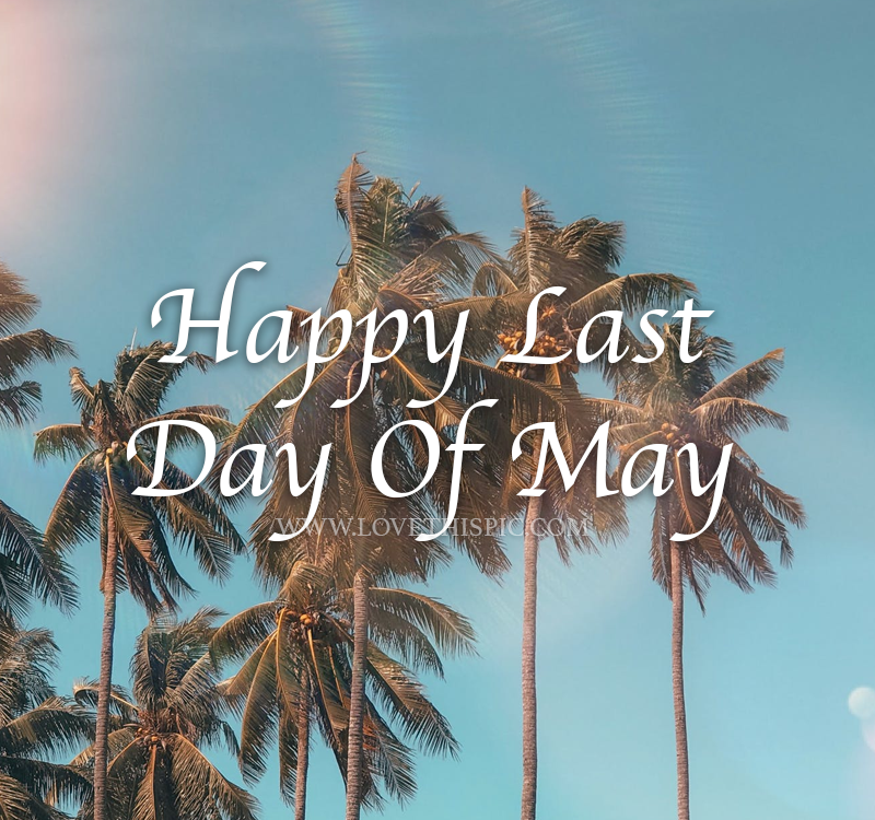Happy Last Day Of May Pictures Photos And Images For Facebook Tumblr happy-last-day-of-may-pictures-photos-and-images-for-facebook-tumblr