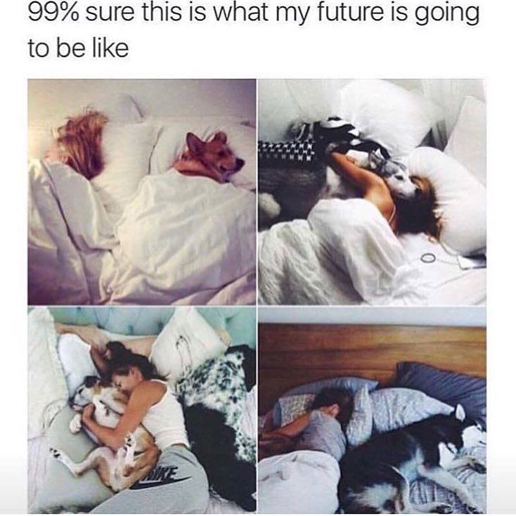 This Is What My Future Is Going To Be Like Pictures, Photos, and Images ...