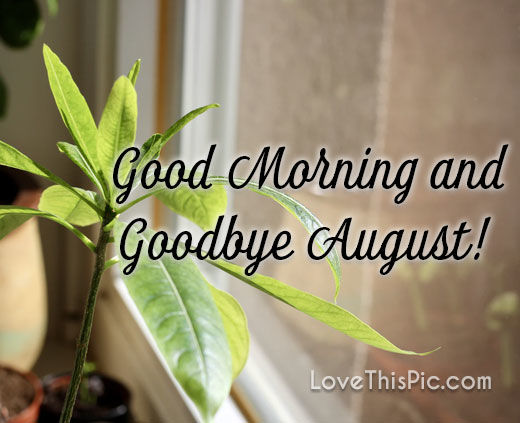 Good Morning And Goodbye August Pictures, Photos, and Images for ...