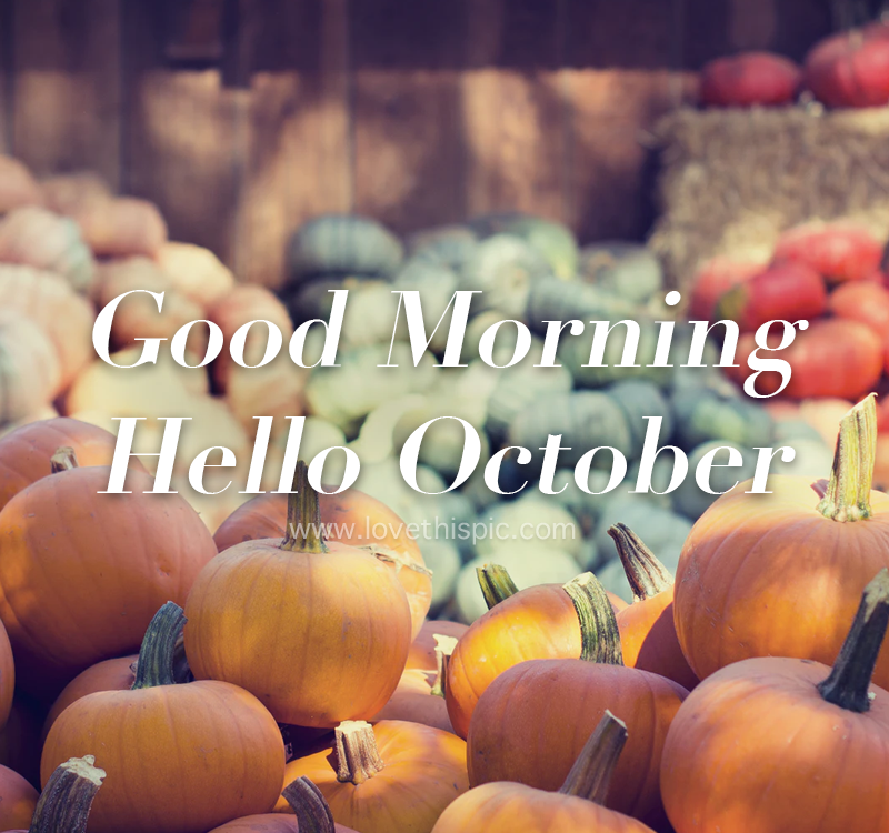 Pile Of Pumpkins - Good Morning Hello October Quote Pictures, Photos ...