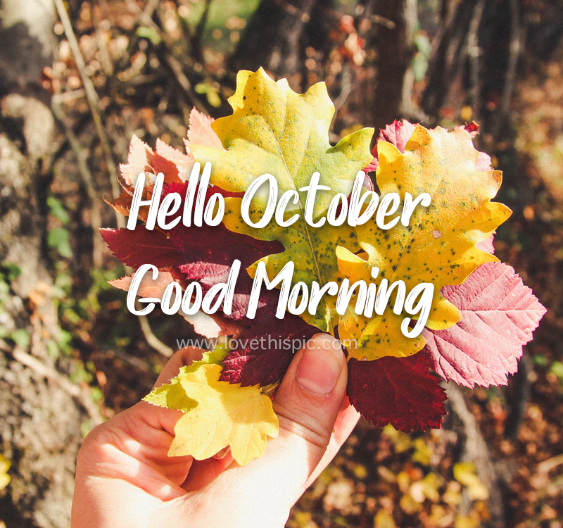 Colored Leaves Hello October Good Morning Quote Pictures, Photos, and ...
