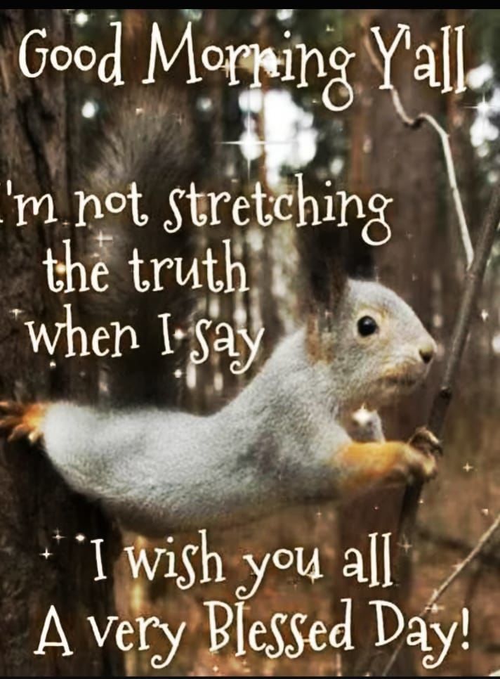 I m Not Stretching The Truth When I Say I Wish You All A Very Blessed Day Pictures Photos And i-m-not-stretching-the-truth-when-i-say-i-wish-you-all-a-very-blessed-day-pictures-photos-and