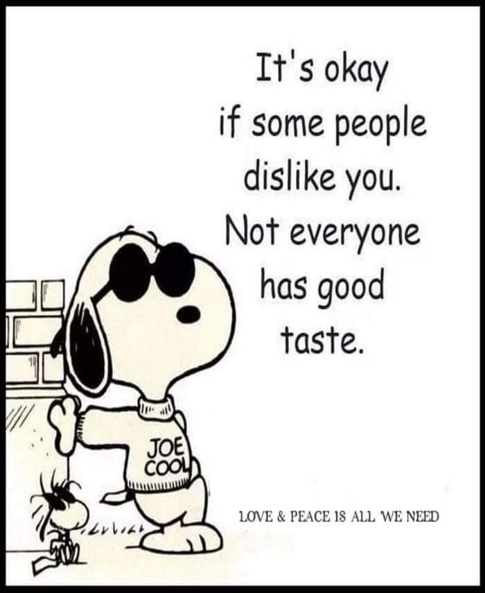 Not Everyone Has Good Taste Pictures Photos And Images For Facebook not-everyone-has-good-taste-pictures-photos-and-images-for-facebook