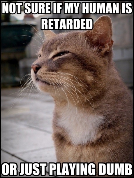 Not Sure Pictures, Photos, and Images for Facebook, Tumblr, Pinterest ...