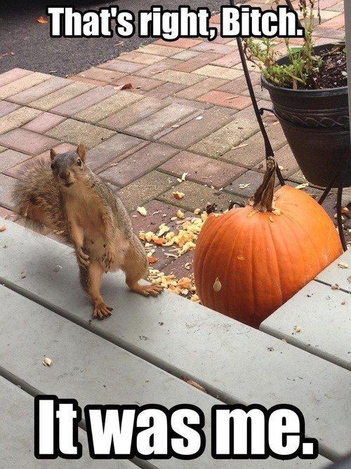 That's Right Pictures, Photos, and Images for Facebook, Tumblr ...