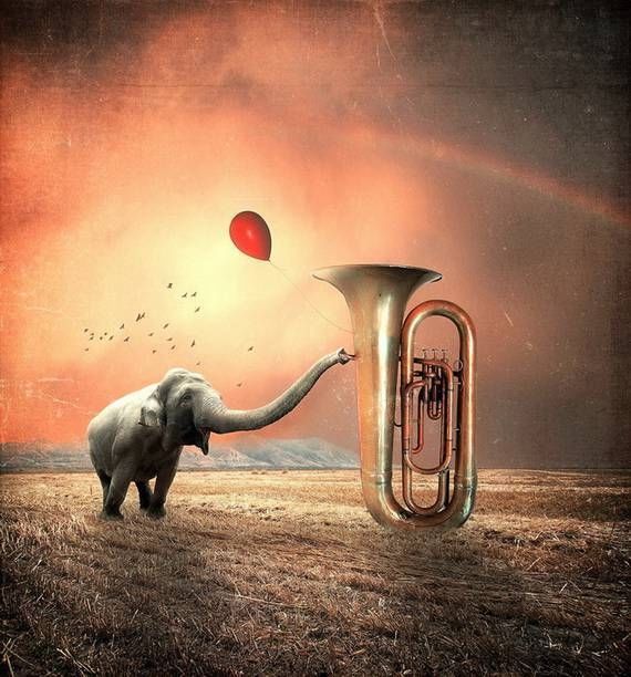 Never Forget Pictures, Photos, and Images for Facebook, Tumblr ...