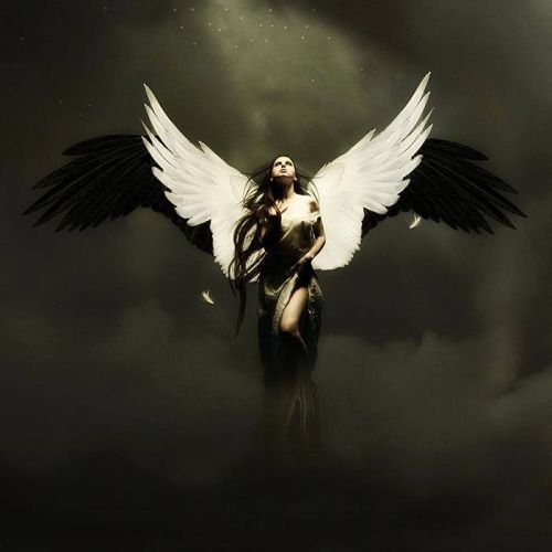 Angel Pictures, Photos, and Images for Facebook, Tumblr, Pinterest, and ...
