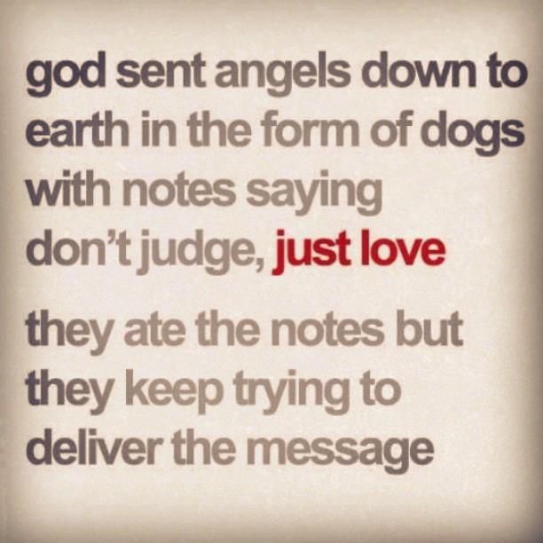 Can Dogs Be Angels
