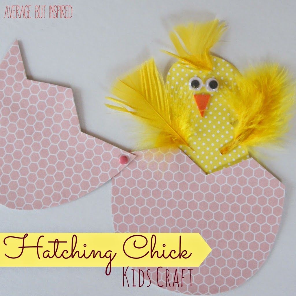 Hatching Chick Pictures, Photos, and Images for Facebook, Tumblr ...